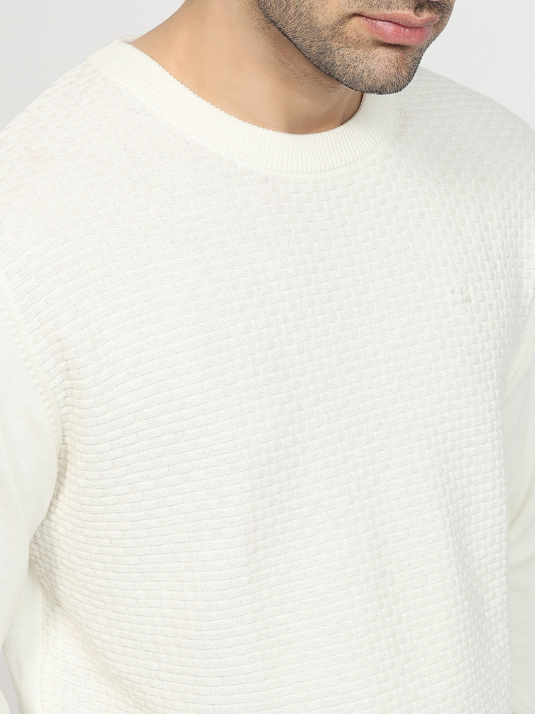 Colorplus Men White Jacquard Regular Fit Cotton Sweatshirt – MyRaymond