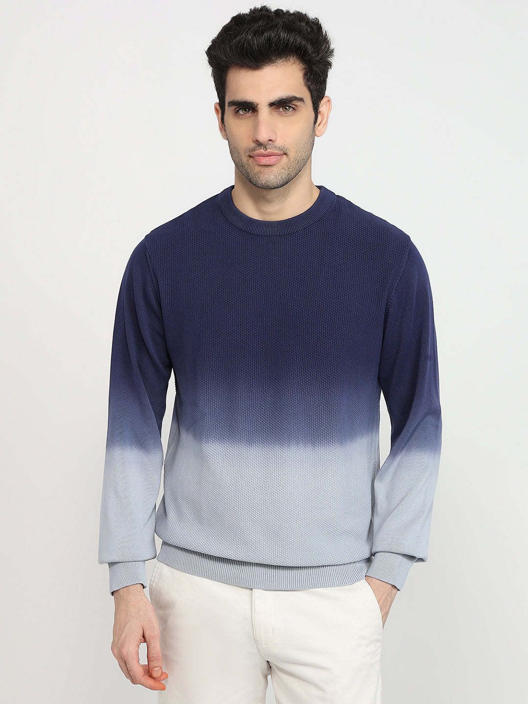 Colorplus Men Blue Jacquard Regular Fit Cotton Sweatshirt – MyRaymond