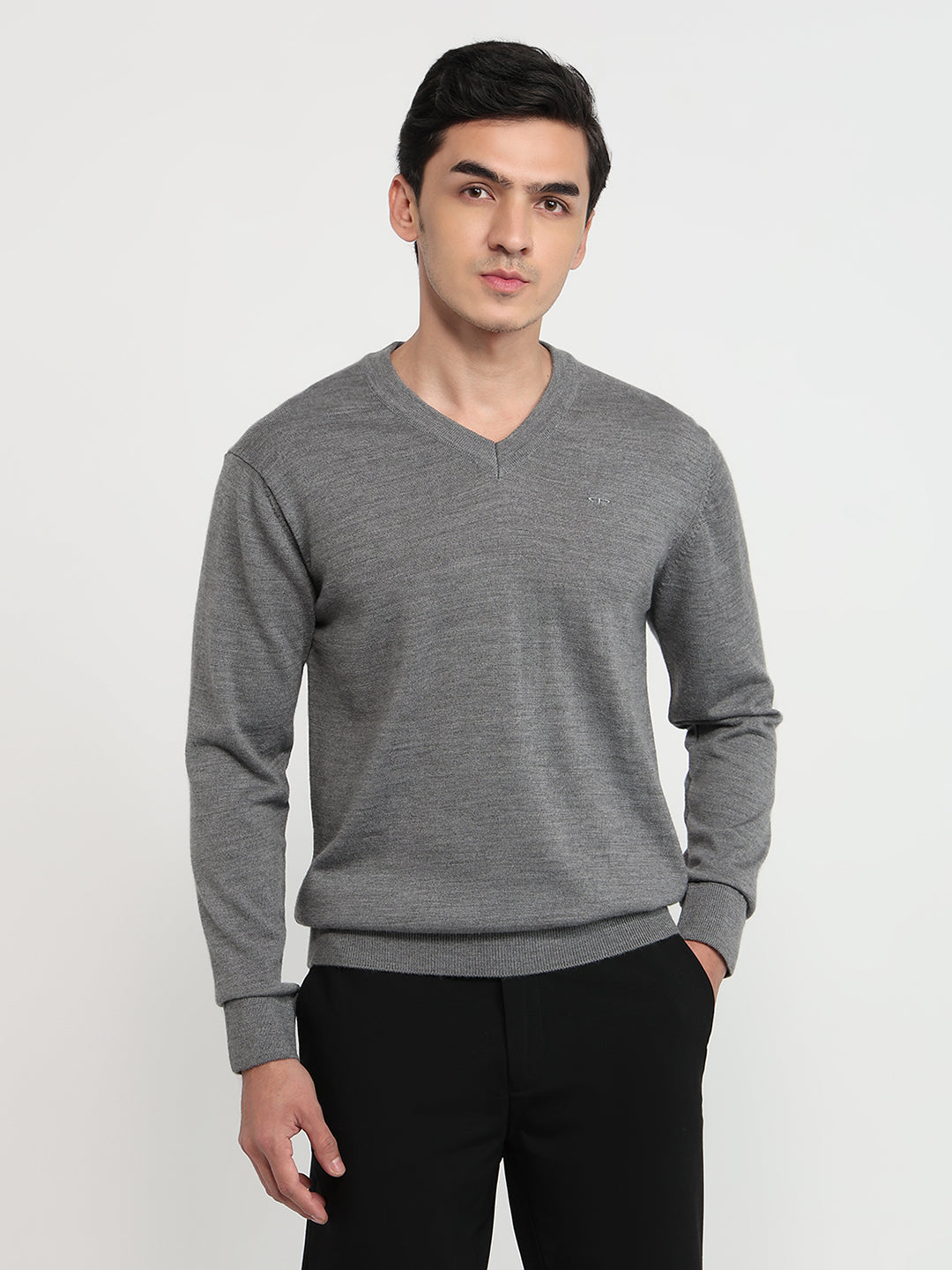 Colorplus Men Grey Regular Fit Plain V Neck Collar Sweatshirt – MyRaymond