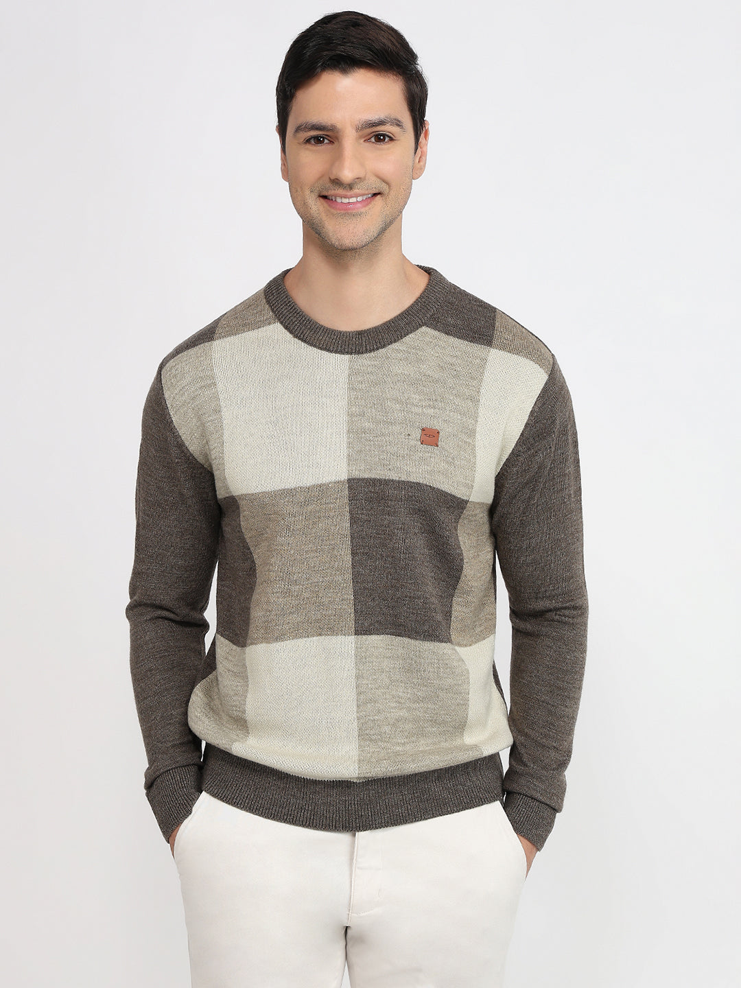 Colorplus Men Brown Jacquard Regular Fit Acrylic Sweatshirt – MyRaymond