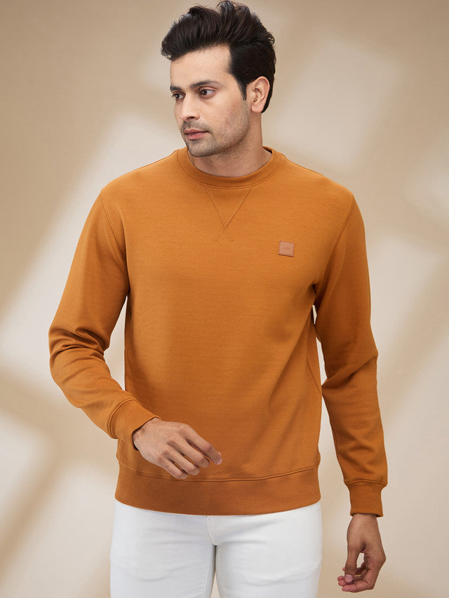 Colorplus Men Brown Regular Fit Solid Sweatshirt – MyRaymond