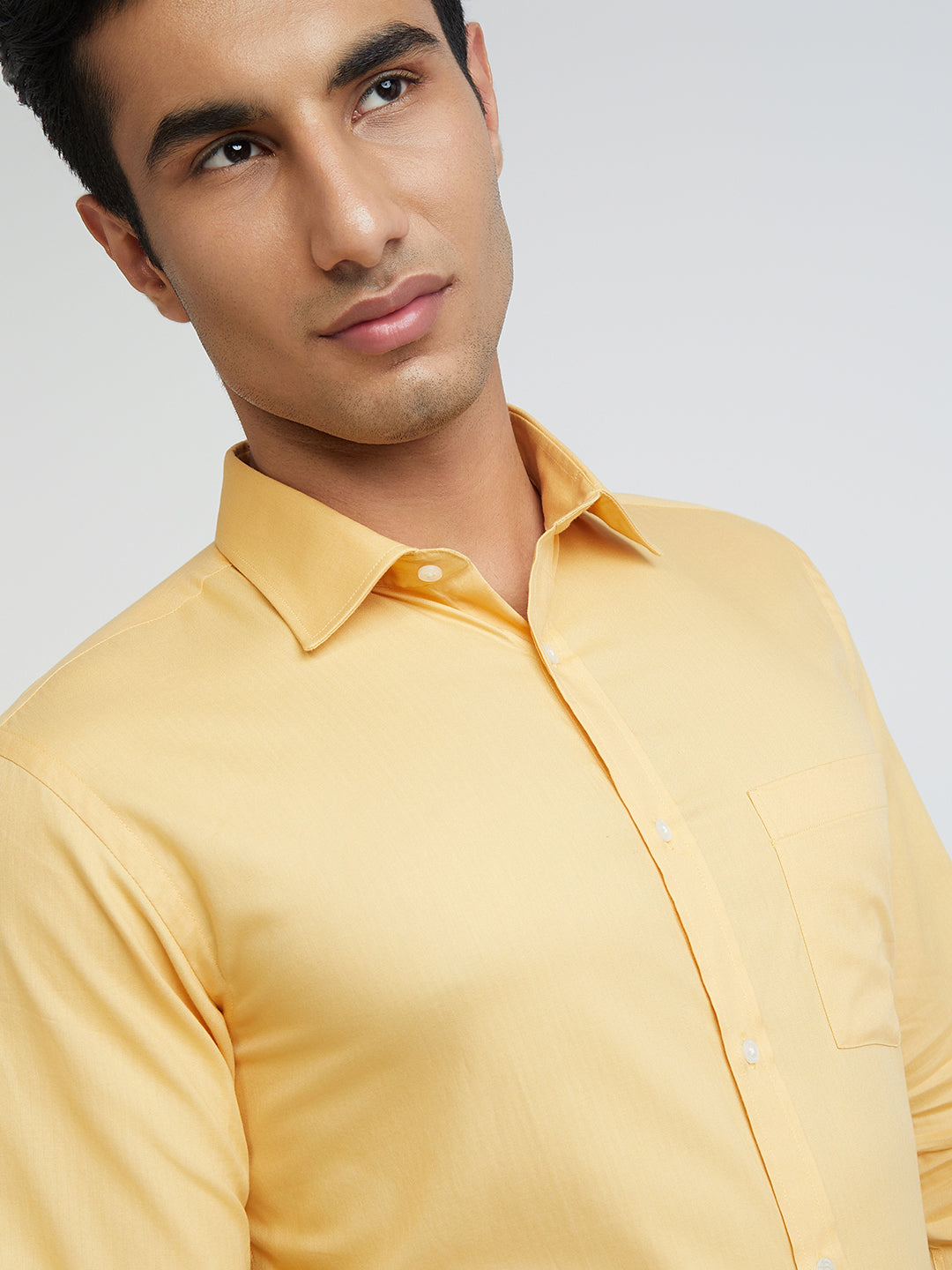 Park Avenue Men Yellow Slim Fit Structure Formal Shirt – MyRaymond