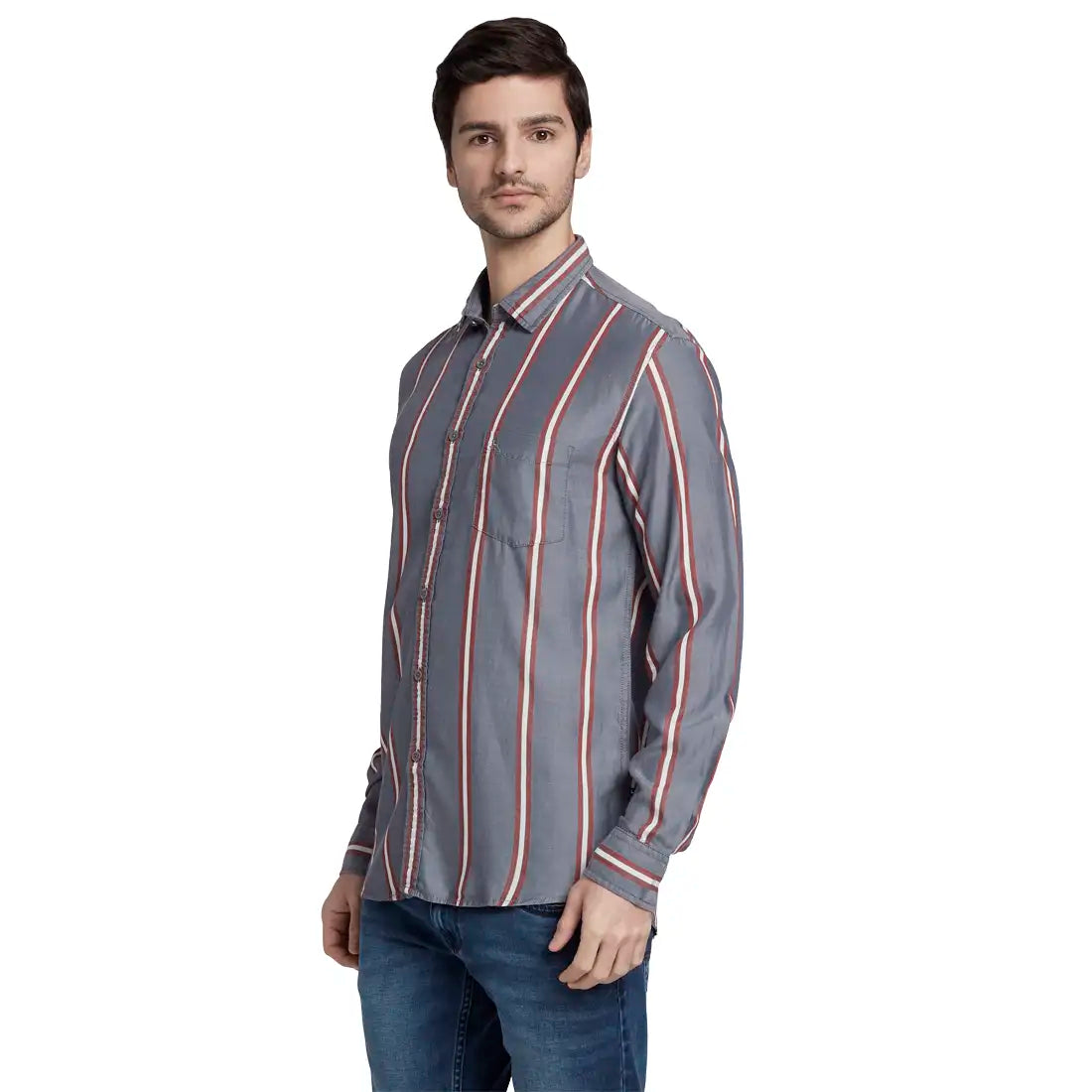 Men Grey Slim Fit Stripe Tencel Full Sleeve Shirts – MyRaymond
