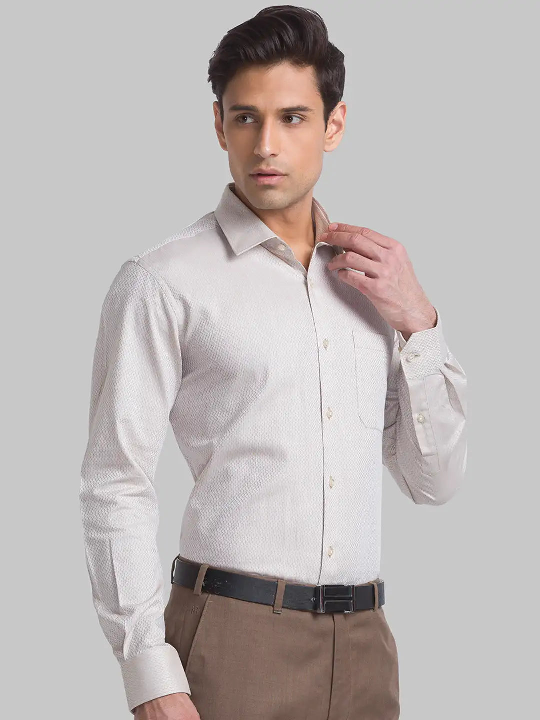 Men Fawn Contemporary Fit Structure Cotton Full Sleeve Shirts – MyRaymond